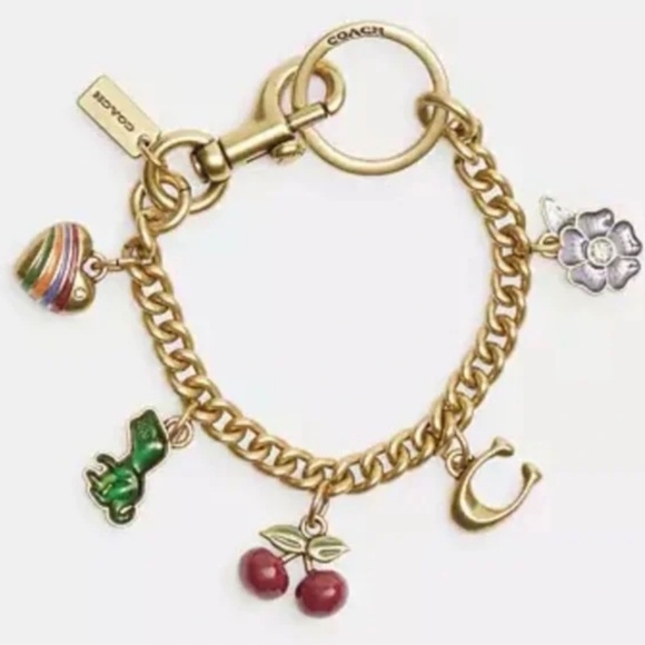 Coach | Accessories | Coach Bag Charm Chain | Poshmark